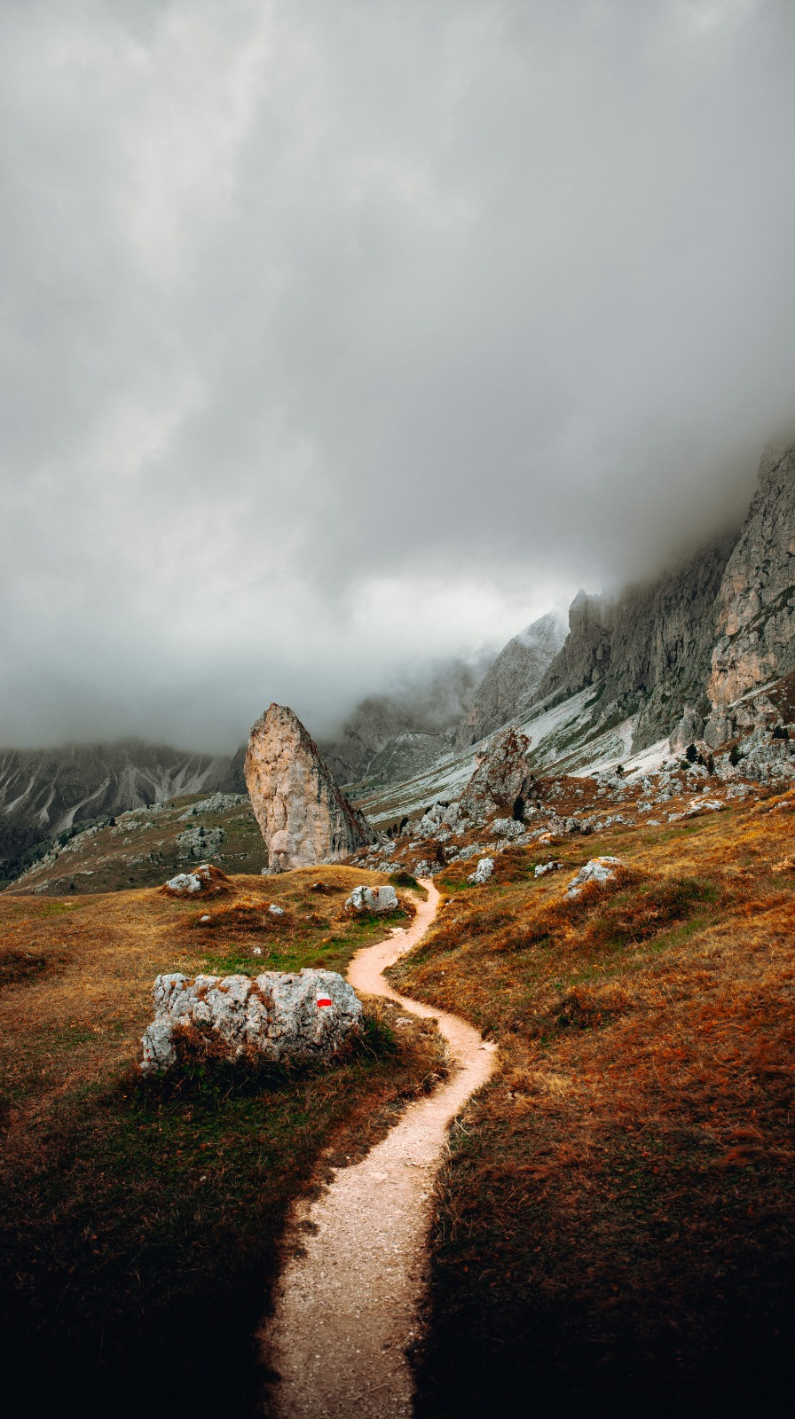 Metanoia Catholic | Disrupt Mediocrity